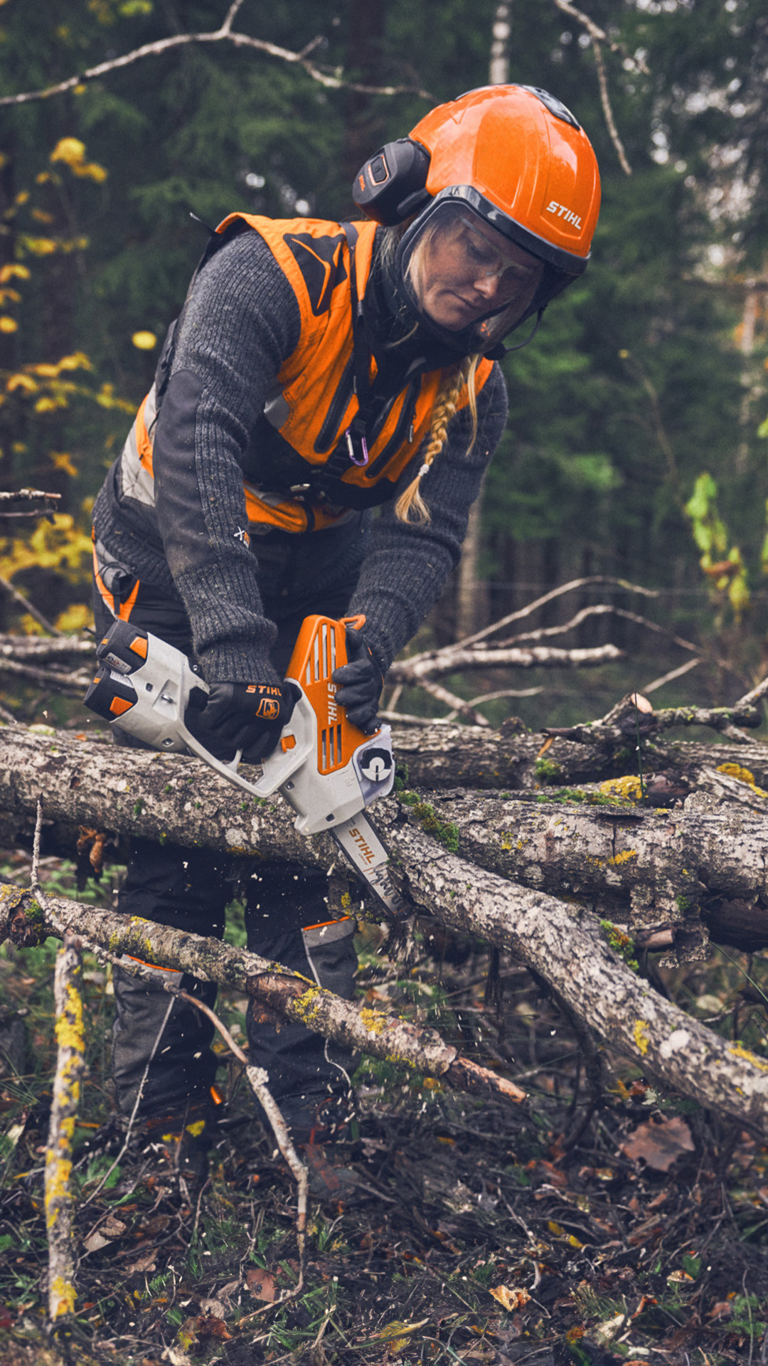 GTA 40 Press Release | STIHL