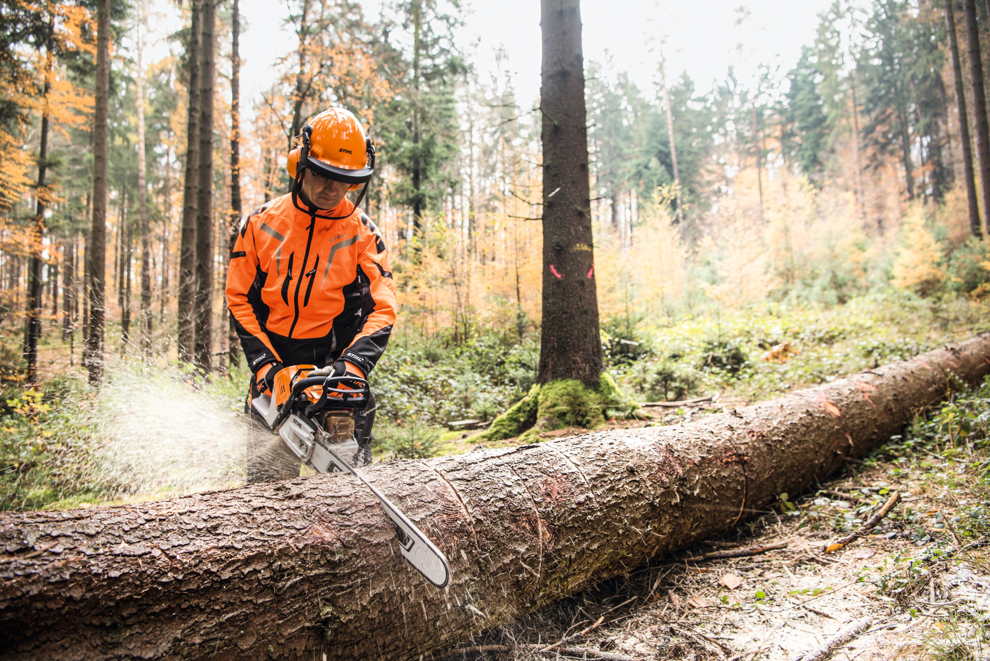 Mechanical engineering meets software: The STIHL MS 500i gasoline ...